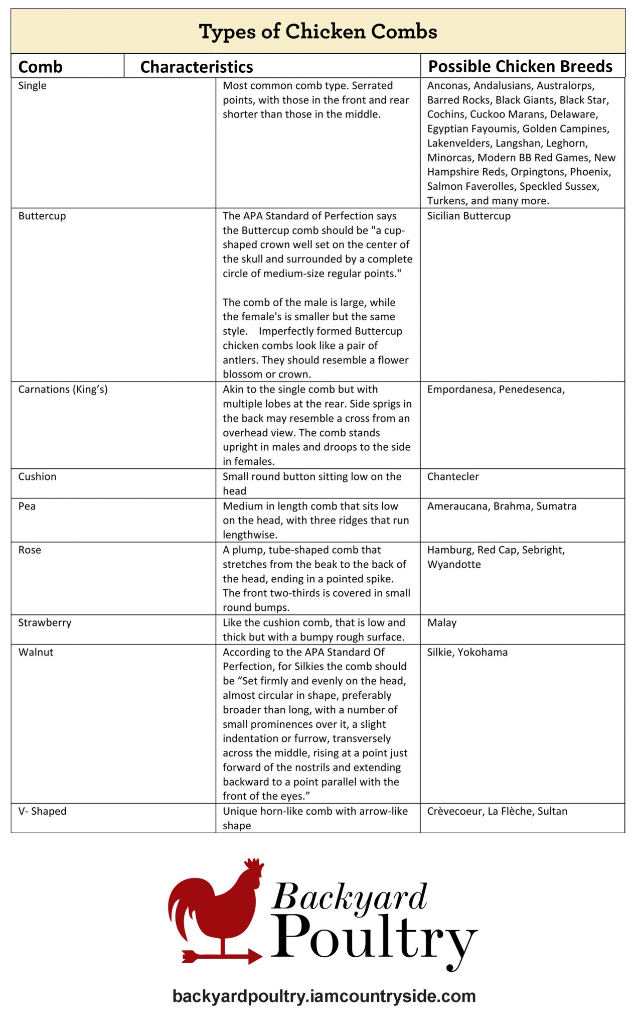 Types of Chicken Combs - Backyard Poultry